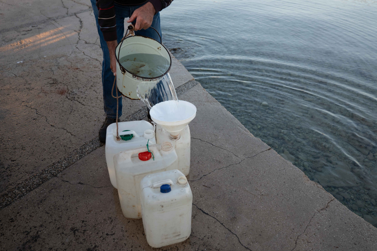 Držanje maslina u moru prije prerade: Tradicija ili pogrešna praksa?